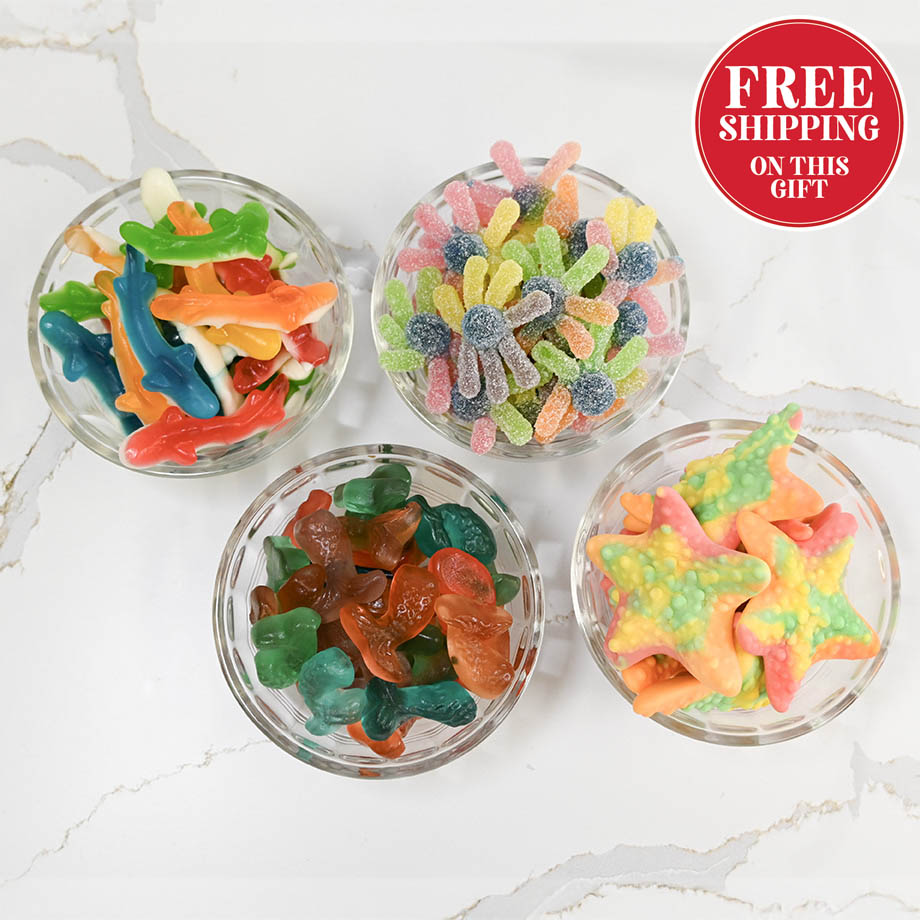 Gummy Candy Assortment | Ocean Treats Variety Mix